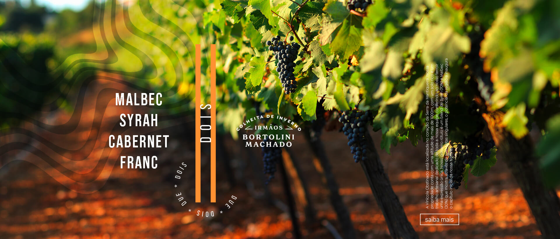 Vinícola Obstinado – Malbec, Syrah, Cabernet & Franc – Colheita de ...